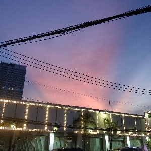 单机小王子哟 