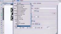 中琅条码打印软件如何制作圆点Datamatrix二维码