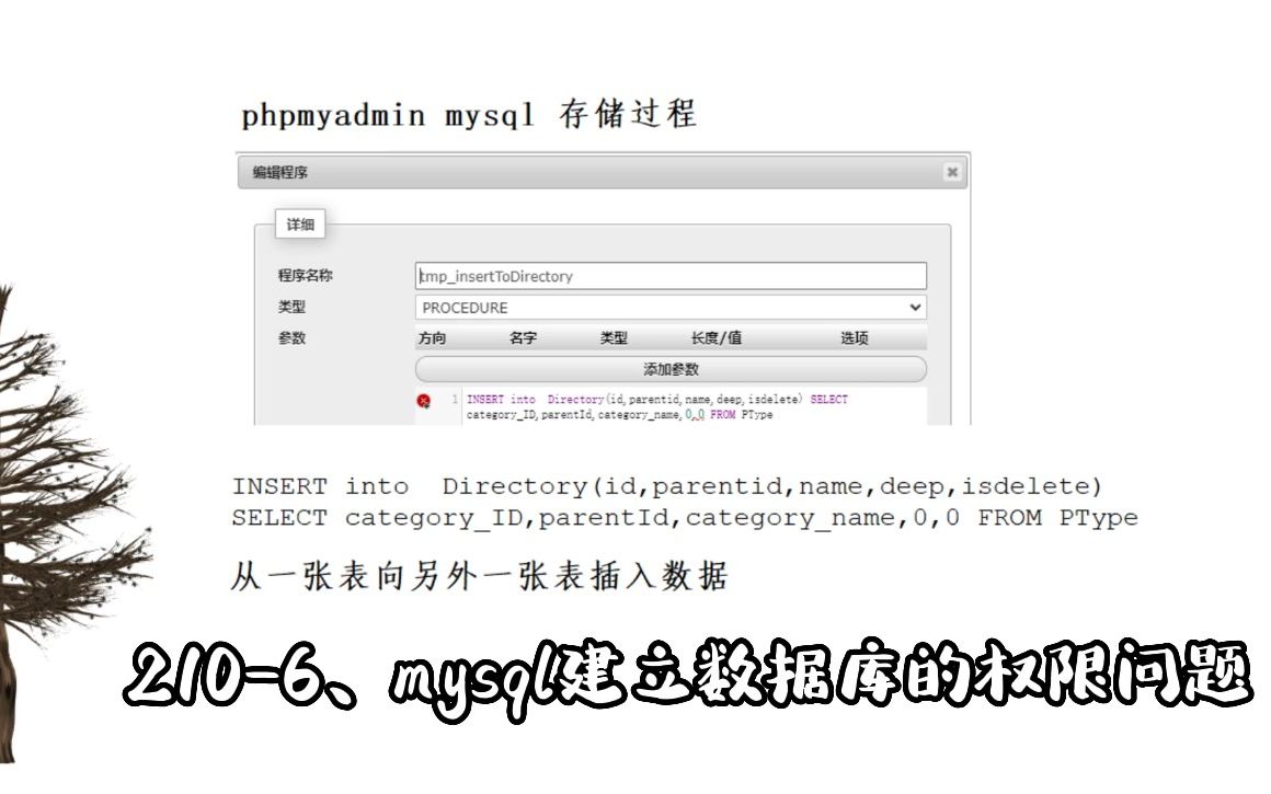 mysql建立数据库的权限问题