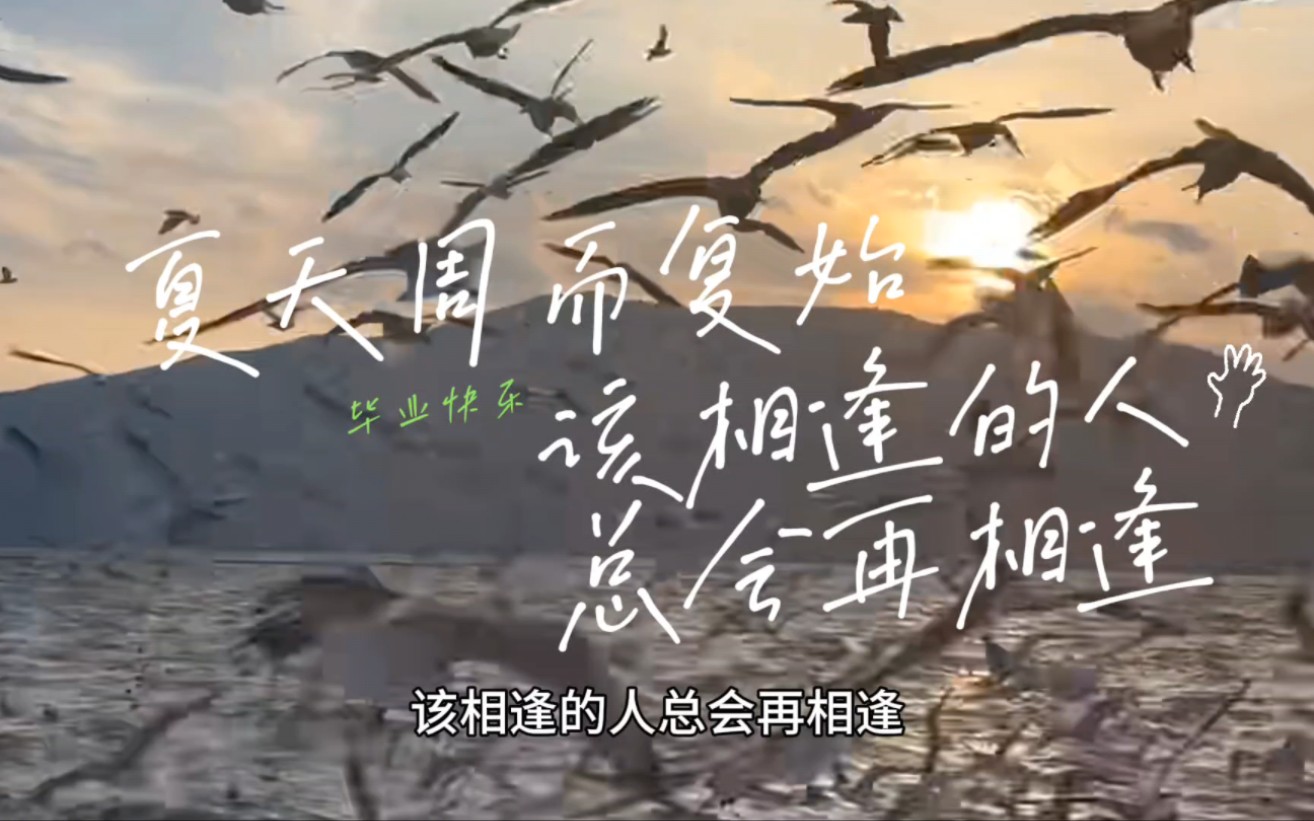 毕业回忆录| 致我的三年 夏天周而复始,该相逢的人总会再相逢 家人们求...