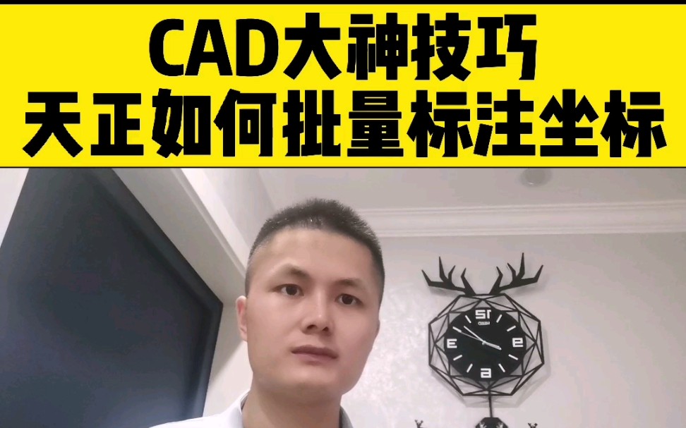 天正如何批量标注坐标