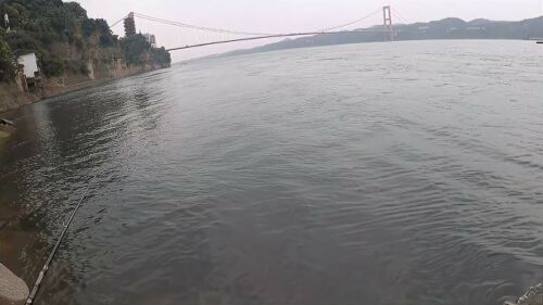 探索标点,钓鱼打龟很正常,到河边丢几杆,心情也不错,看看风景