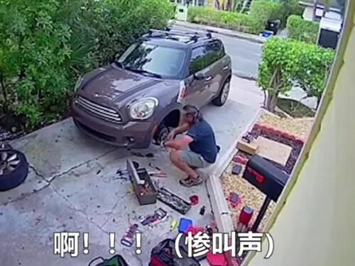鹦鹉模仿女主人呼救,结果尴尬了!