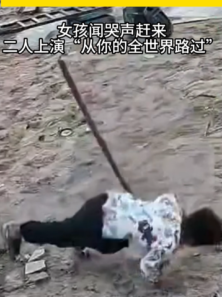 从你的全世界路过