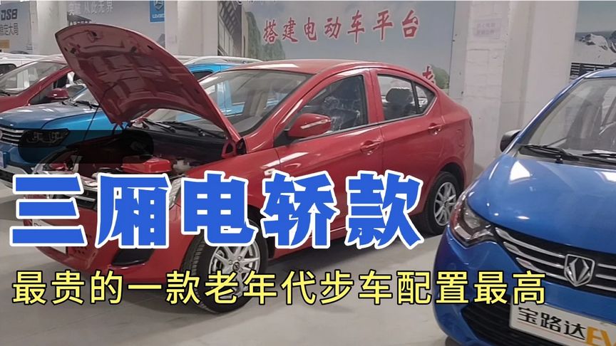 宝路达DS8,原车自带油电混合和双助力,和汽车一样的配置