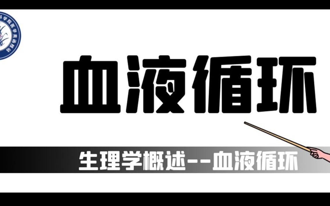 生理学学课程—第四节血液循环