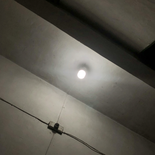 坚定不移跟自己走 