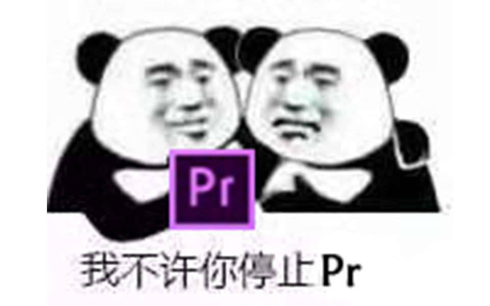 【PS】【PR】怎么快速用ps给pr中的视频加字幕