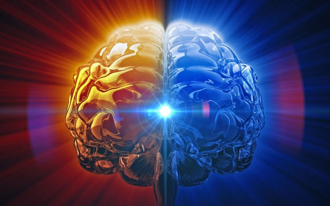 人类大脑的记忆容量有多少?