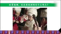 人美版五年级下9《多彩的民族传统纹样》微课