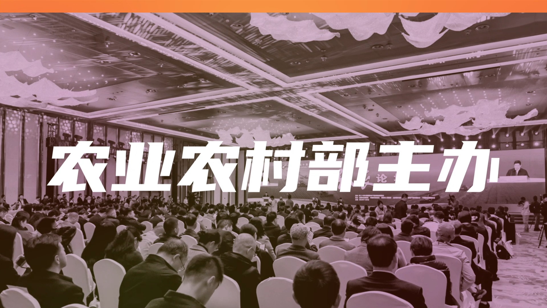 2024年11月28日-12月1日,第二十一届中国国际农产品交易会闪亮登场