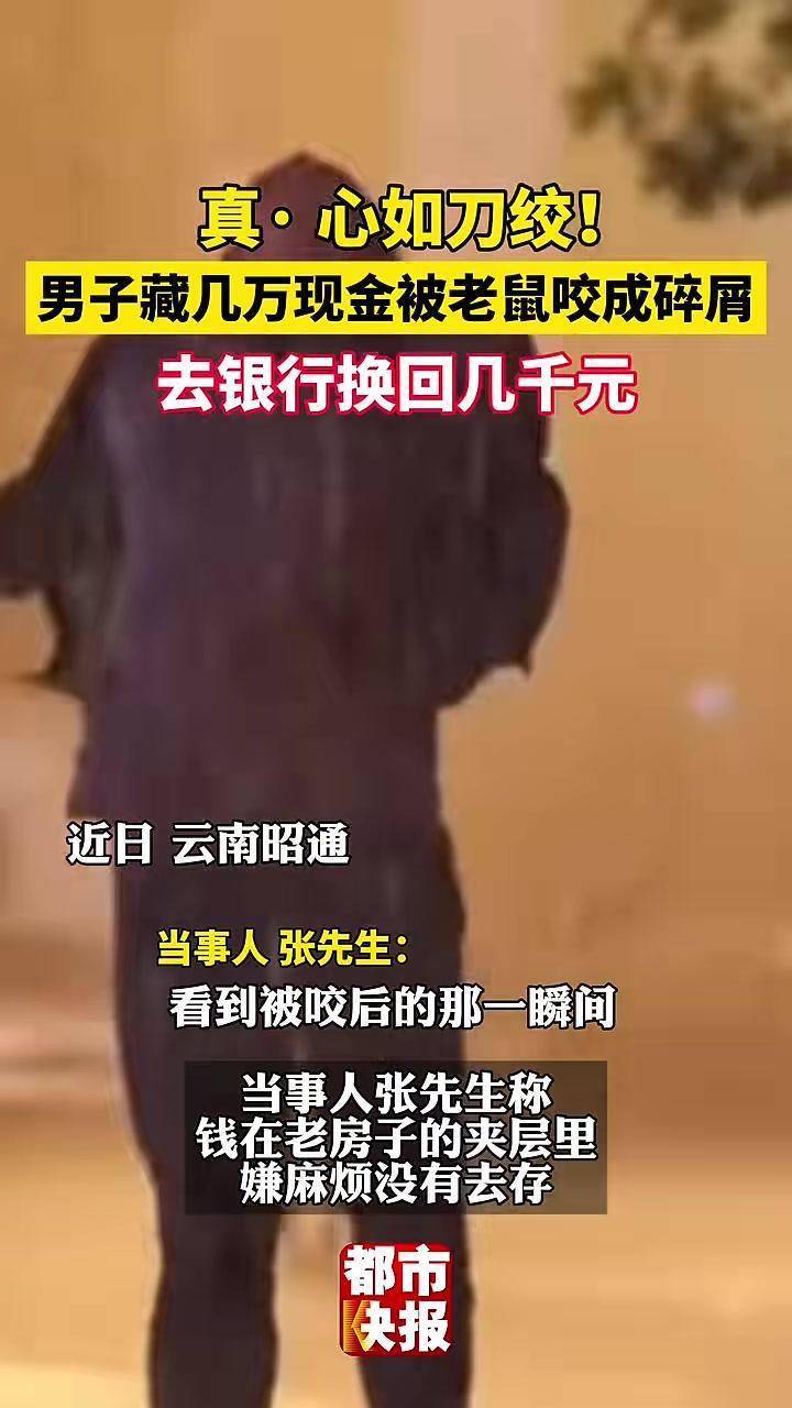 真·心如刀绞!#男子藏几万现金被老鼠咬成碎屑#老鼠#现金#心如刀绞