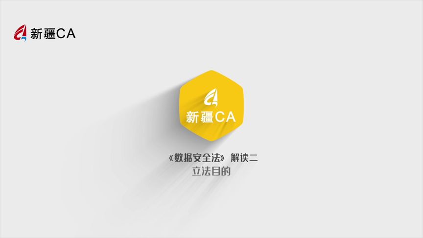 一起来学习《数据安全法》的立法目的吧!#新疆CA