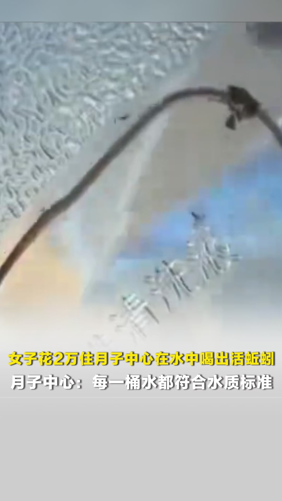 女子花2万元住44天月子中心,桶装水快喝完了才发现有活蚯蚓,当地市监...