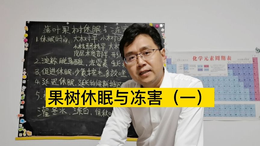 哪些果树容易出现冻害与倒春寒?如何预防冻害与倒春寒的发生!