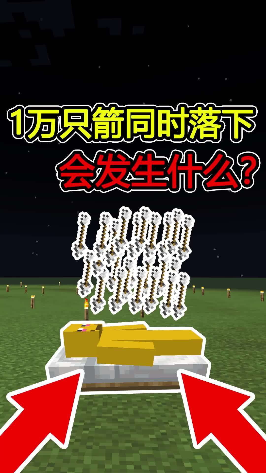 我的世界:1万只箭同时落下会发生什么?