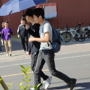 不哈不是哈基米 