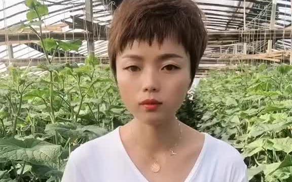 三农种植 普通便宜的尿素作用居然这么大,增产又杀虫?