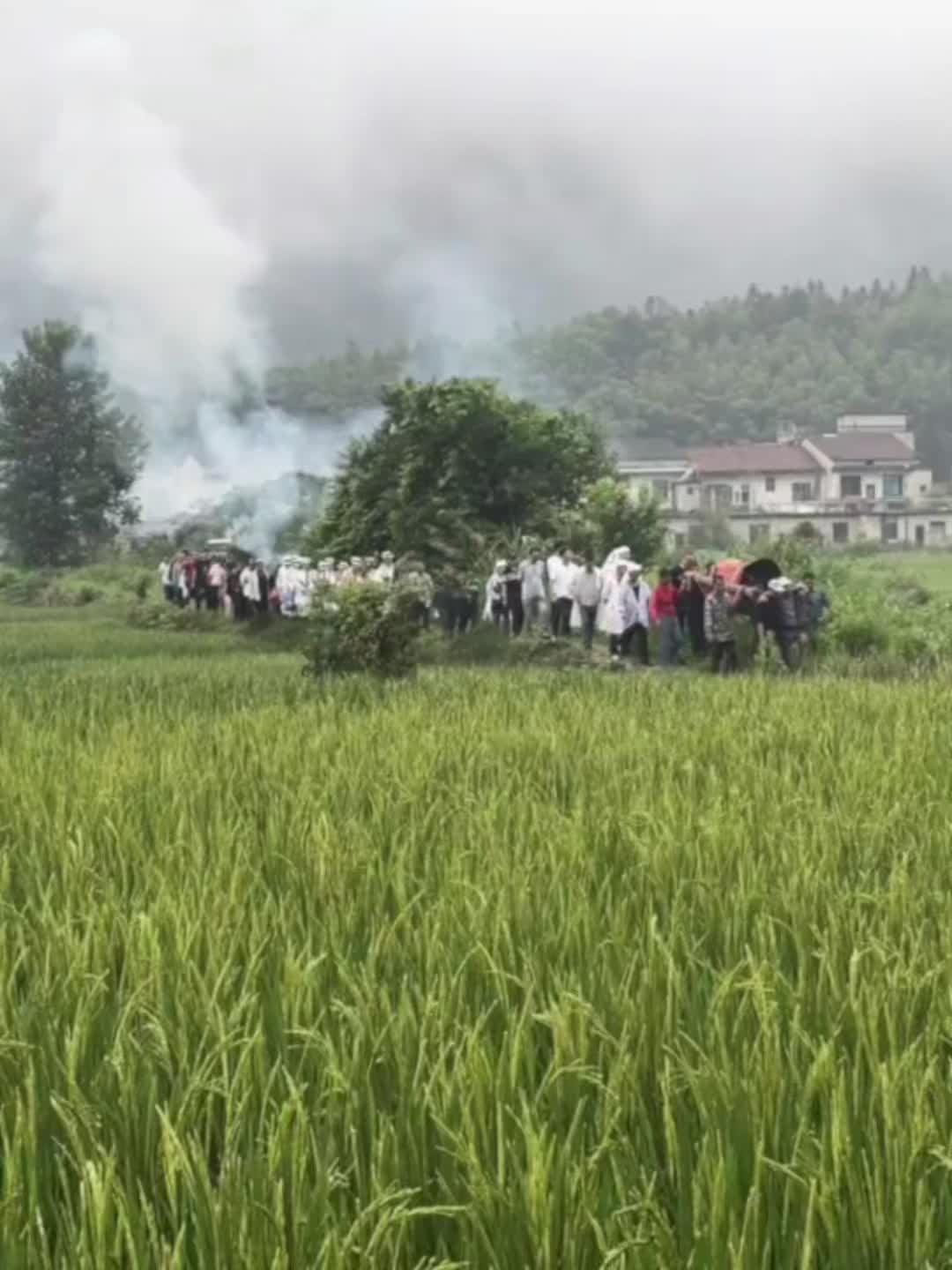 ...以前的很多长辈都相继离世了,以前经常在村口看到的那些老人也已经...