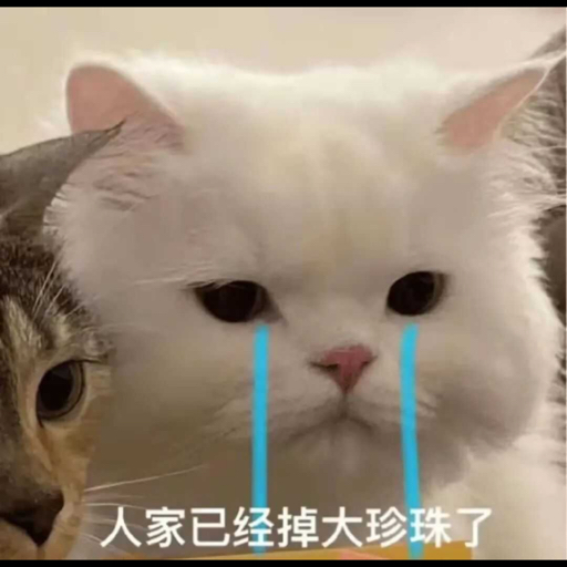 潇湘夜雨xyz 