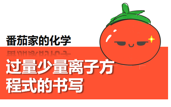 过量少量离子方程式的书写