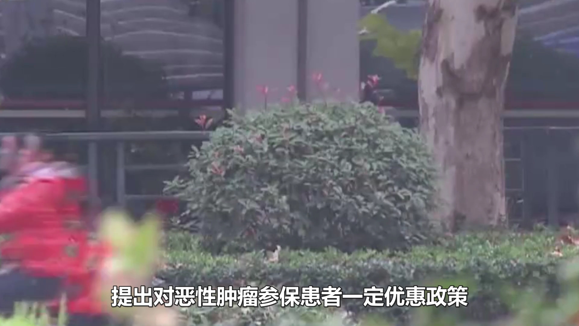 央视说的太对了,张劲妮医保谈判现灵魂砍价!一言造福千万百姓