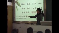 《美丽的小兴安岭》课堂教学视频