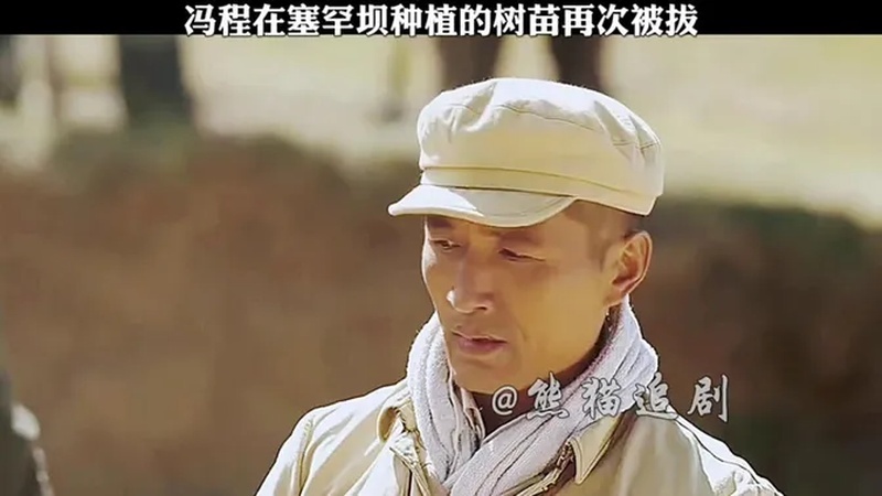 冯程在塞罕坝种植的树苗再次被拔