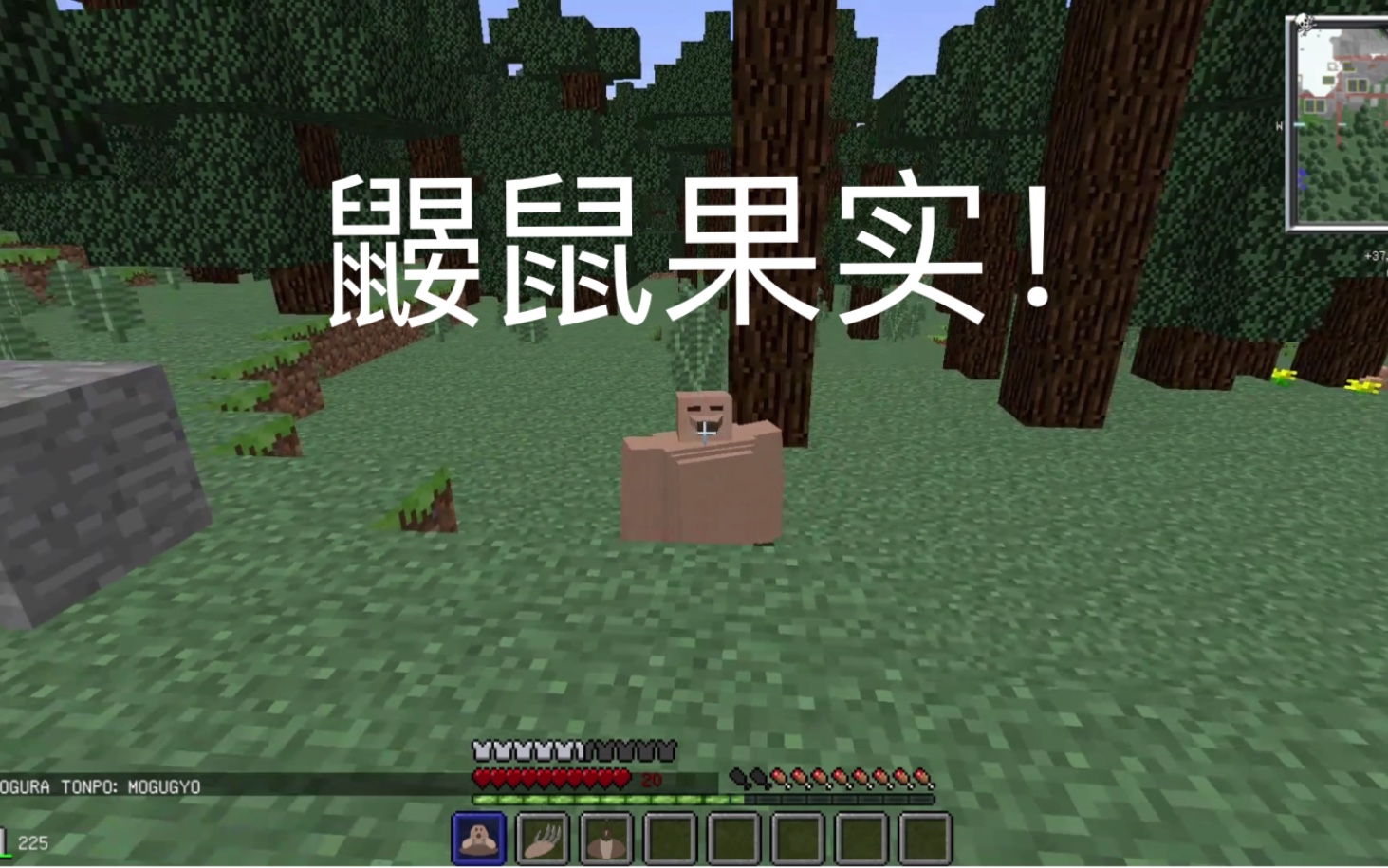 我的世界海贼王模组之鼹鼠果实的能力讲解与测评!