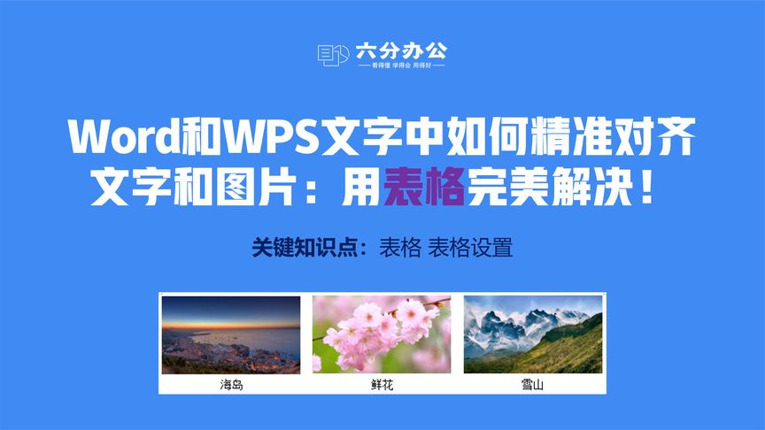 Word和WPS文字中如何精准对齐文字和图片:用表格完美解决!
