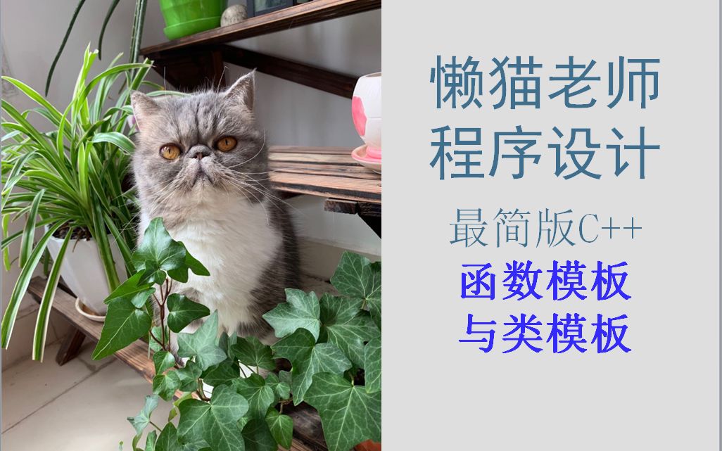 懒猫老师-最简版C++-(15)函数模板与类模板