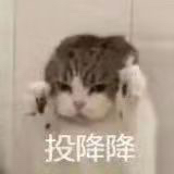 上岸助推器 