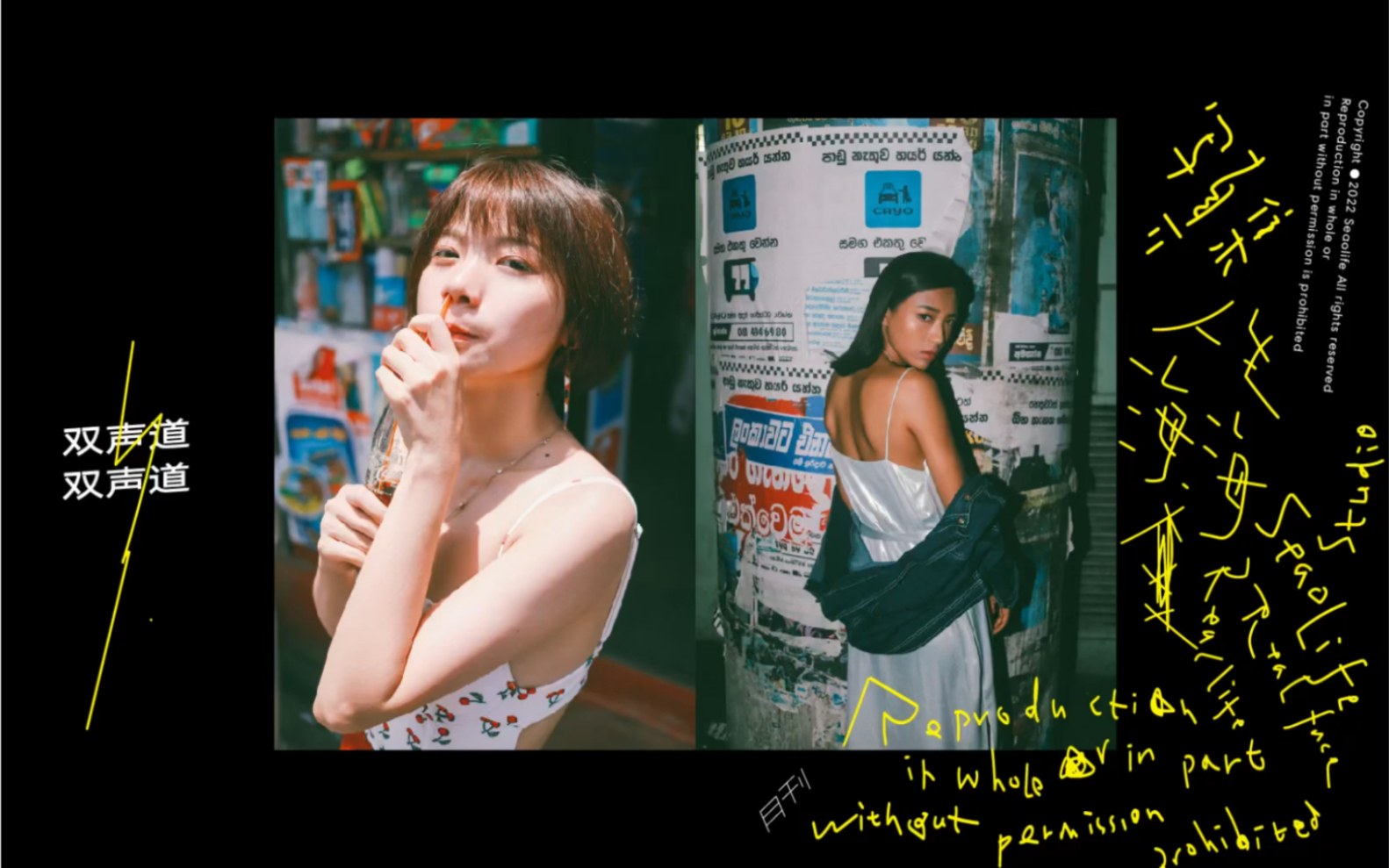 双声道 | 同样的斯里兰卡不同的拍摄 | 2018年作品