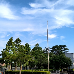 CallMe_Jing 