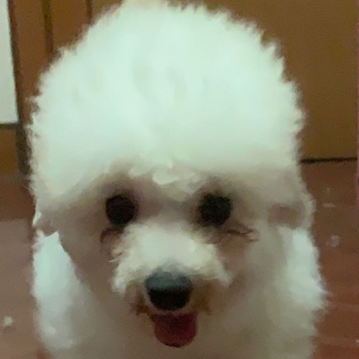 深酿小饶 