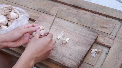 教你在家水培大蒜苗,方法简单易学,十五天左右就能采摘