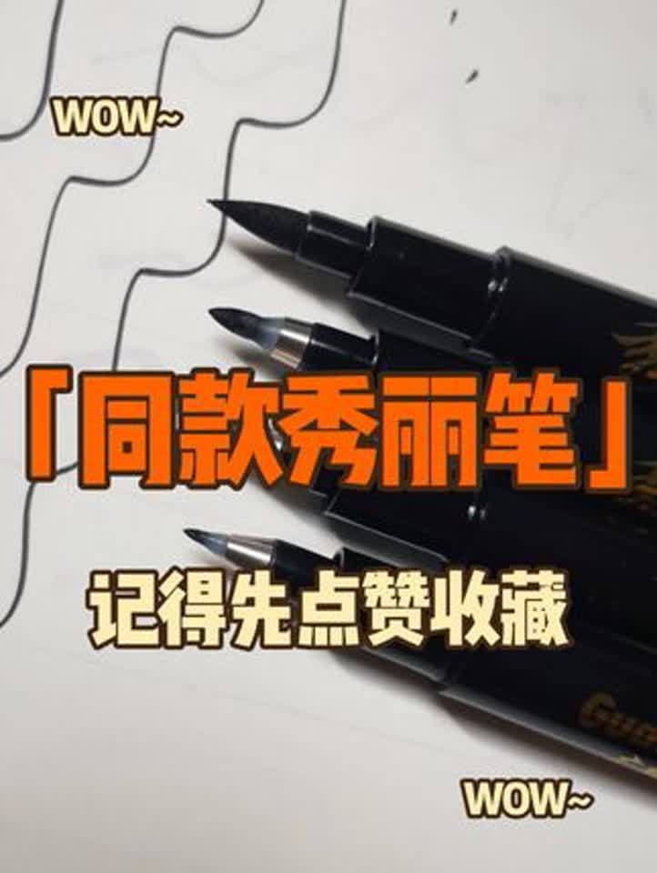 秀丽笔究竟有多好写?#手写 #练字 #写字是一种生活 #秀丽笔