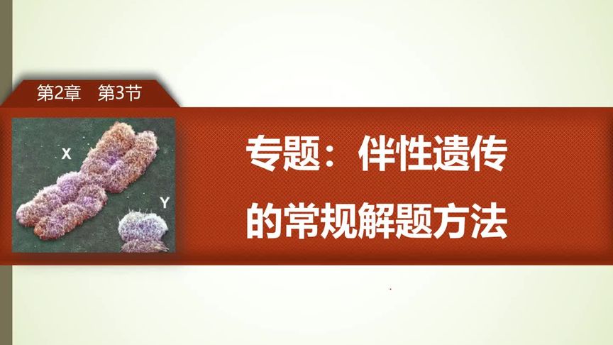 2.3专题:伴性遗传的常规解题方法