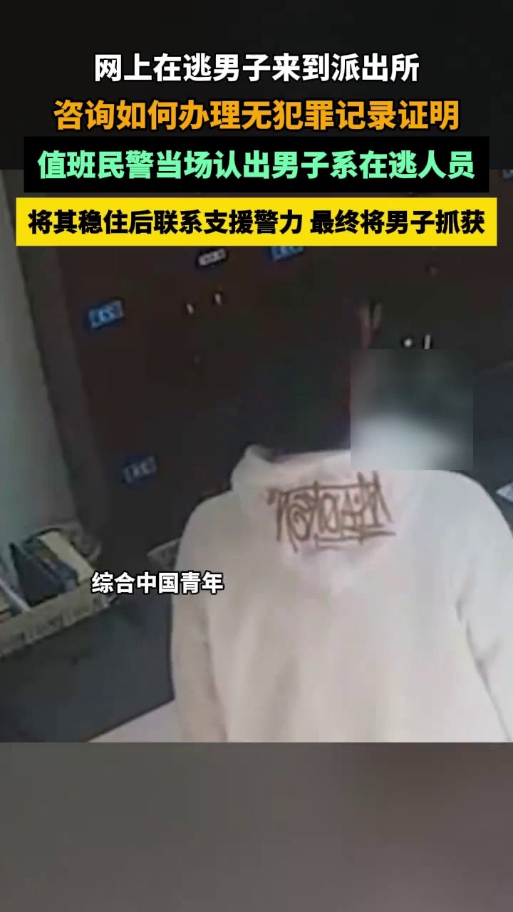 网上在逃男子来派出所咨询如何办理无犯罪记录证明,民警当场认出