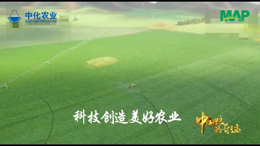 央媒:现代农业社会化服务,让种植更科学、更简单