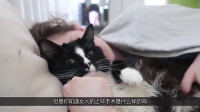 女人“上环”手术,过程是怎样进行的?3D动画模拟全过程