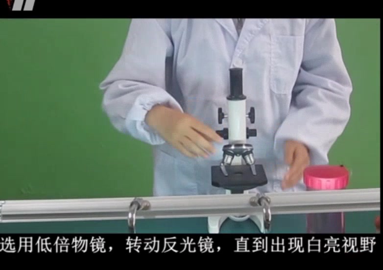 初中生物实验——观察口腔上皮细胞