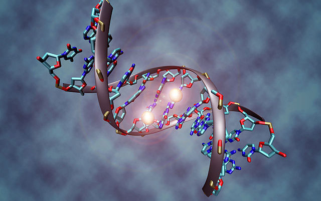 【MIT麻省理工精品课程】分子生物学系列第一部分:DNA复制与修复【...