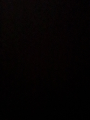 不存在的无机生物 