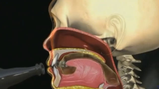 酒精在人体内是如何代谢的?动画还原全过程,看完你还敢喝酒吗