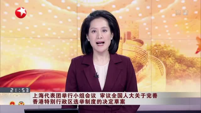 上海代表团举行小组会议 审议全国人大关于完善香港特别行政区选举...