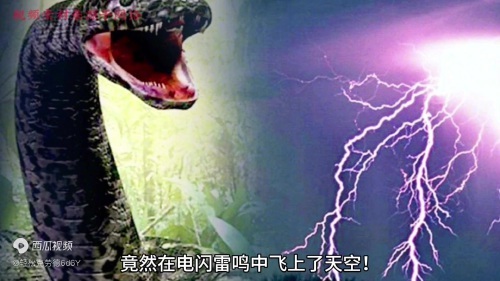 安徽"蟒蛇"渡劫真相大揭秘!