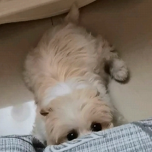 南木木与小小路 