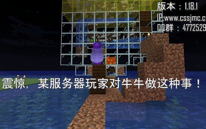 震惊,我的世界某服务器玩家竟对牛做这种事