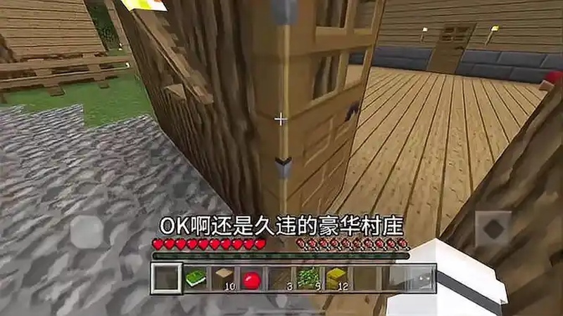 我的世界:虚拟人生第一集